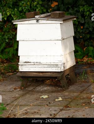 Close up of a manmade wooden beehive seen in the garden in the UK in ...