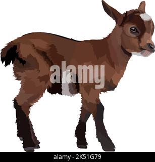 Realistic goat , side view, isolated farm animals Stock Vector Image ...
