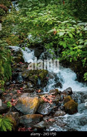 One of the many waterfalls in the Columbia River Gorge area of Oregon ...