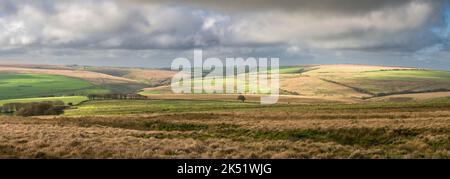 view from the Macmillan Way West at Withycombe Hill gate, near Dunster ...