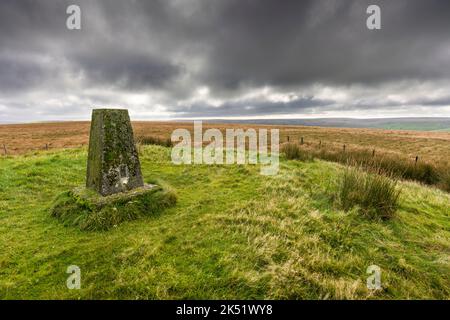 The Chains Barrow ancient monument the south side of The Chains in ...
