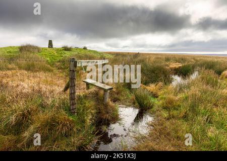 The Chains Barrow ancient monument the south side of The Chains in ...