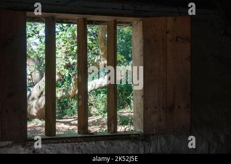 Traditional slatted windows in a recreation of a 1642 village dwelling ...