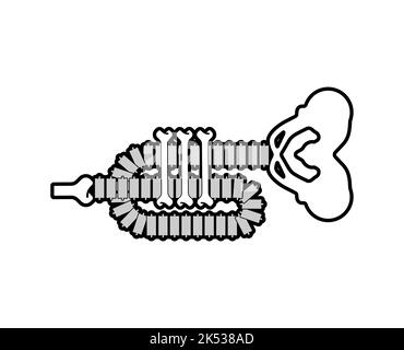 Skeleton with trumpet. Skeleton musician. bugle and dead. Vector ...