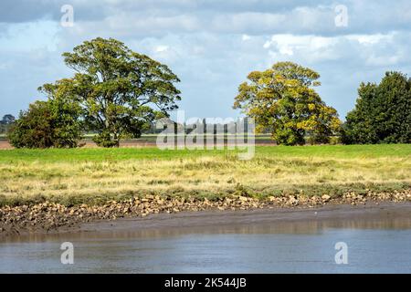 Trees along the river Nene on an autumn afternoon, Lincolnshire, East ...