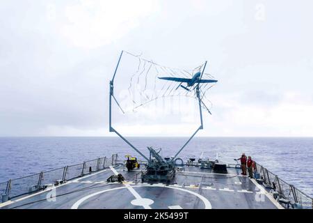 An unmanned aerial vehicle (UAV) with stealth characteristics ...