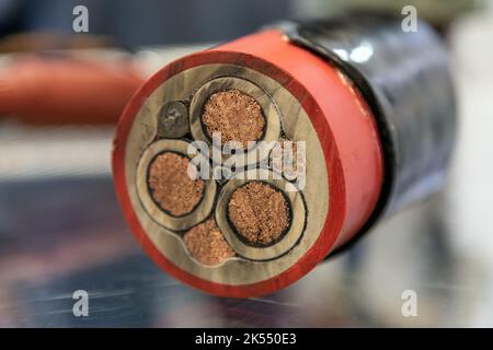 Cross section of high-voltage power cable in the section in the ...
