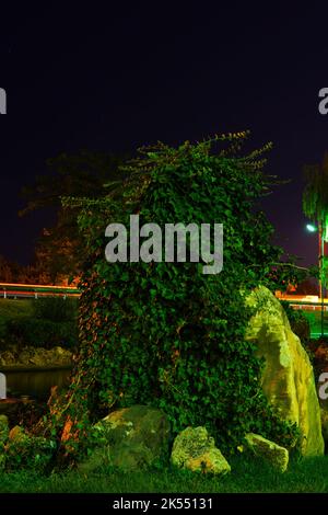 Ivy on rock at waterside at night long exposure photo Stock Photo - Alamy