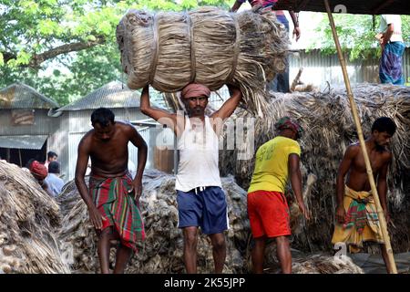 Jute is a natural fibre with golden and silky shine and hence called ...
