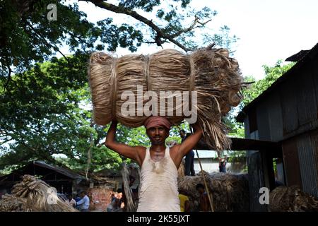 Jute is a natural fibre with golden and silky shine and hence called ...