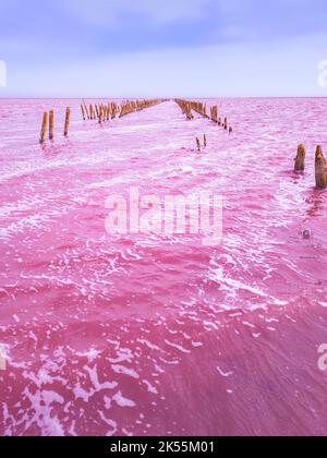 Dunaliella salina impart a red, pink water in mineral lake with dry ...