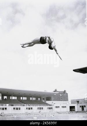 1950s, historical, a male diver doing a twist dive at an open air Lido ...