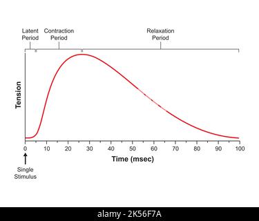 Scientific Designing of Incomplete Tetanus. Colorful Symbols. Vector ...