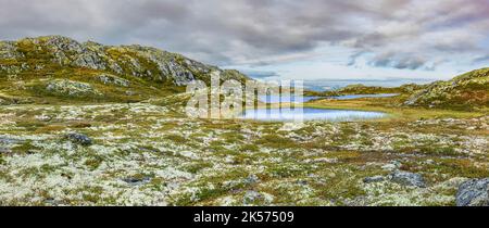 Norway, Inlandet, Otta, Rondan National Park Stock Photo - Alamy