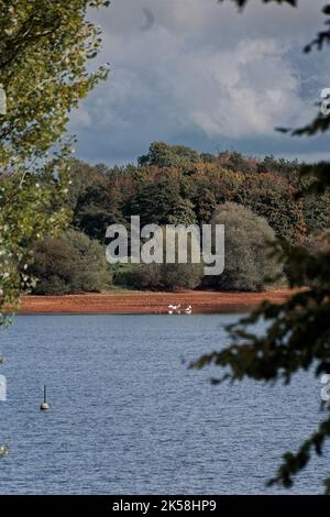 Autumn at Chew Valley Lake Stock Photo - Alamy