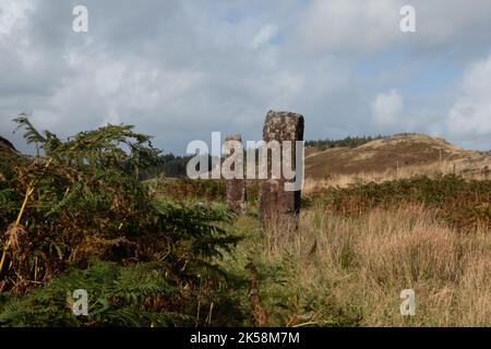A pair of standing stones above Dervaig, Isle of Mull, Scotland, UK ...