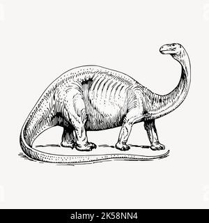 Dinosaur clipart, extinct animal vintage illustration vector Stock ...
