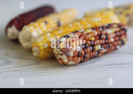 Multi colored indian corn made for Thanksgiving decoration Stock Photo ...