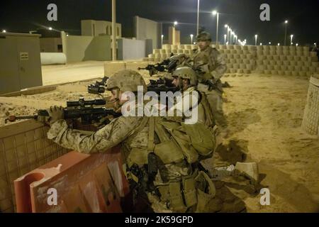 United Arab Emirates Presidential Guard CH-47 Chinook prepares to land ...