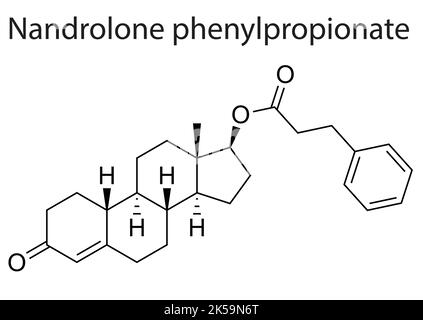 Nandrolone Skeletal Structure Molecule Vector Editable file Stock ...