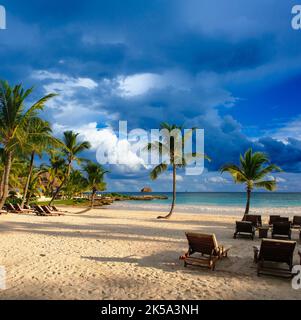 Tropical Paradise. Dominican Republic, Seyshily, Caribbean, Mauritius ...