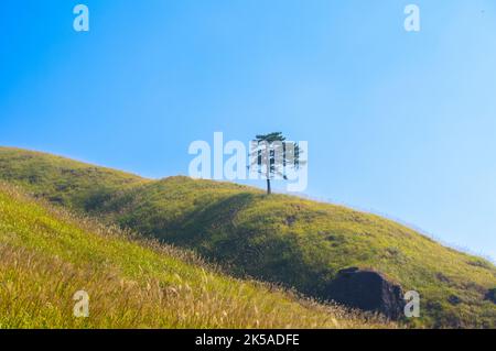 The early autumn scenery of Wugong Mountain Natural Scenic Area ...