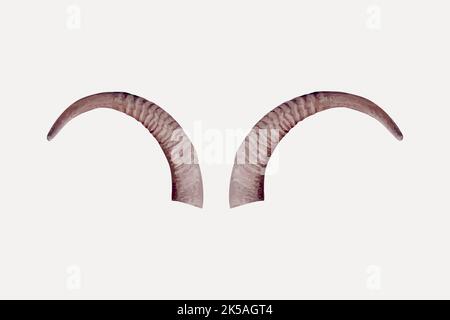 Goat horns collage element, cute illustration vector Stock Vector Image ...