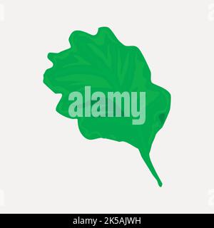 Lettuce collage element, cute illustration vector Stock Vector Image ...