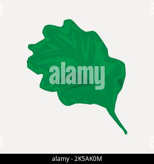 Lettuce collage element, cute illustration vector Stock Vector Image ...