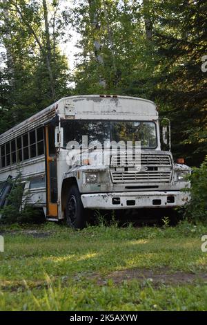A beautiful view of an old ford bus in a field with trees Stock Photo ...