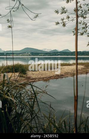 A beautiful scenery of lake Wallersee with calm waters in a forest in ...