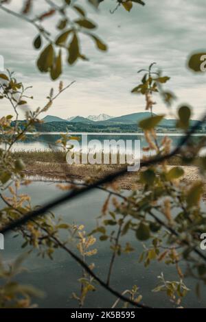 A beautiful scenery of lake Wallersee with calm waters in a forest in ...