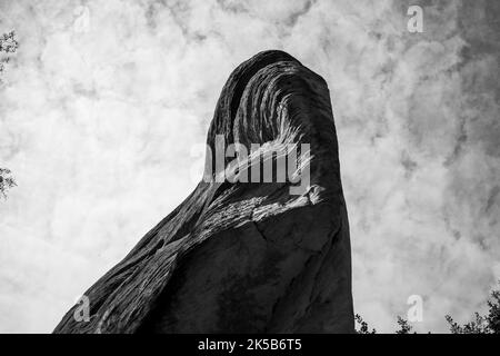 Grayscale low angle shot of a big old tree Stock Photo - Alamy