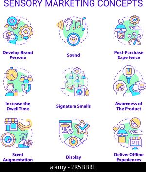 Senses of sensory branding circle infographic template Stock Vector ...