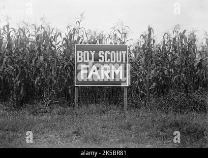 Boy Scouts, Boy Scout Farm, 1917 Stock Photo - Alamy