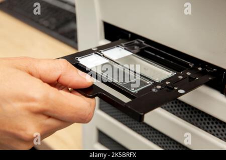 Scientist scanning microscope slides with tissue samples for pathology ...