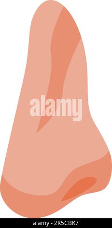 Nose operation icon isometric vector. Plastic surgery. Face bone Stock ...