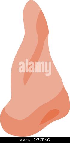 Anatomy facelift icon isometric vector. Nose surgery. Before lift Stock ...