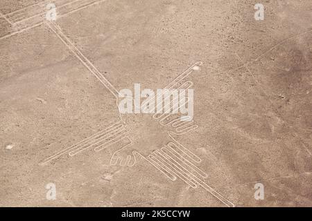 Nazca Lines, The Huming Bird Stock Photo - Alamy