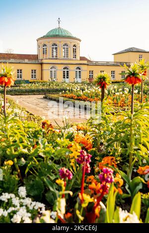 Germany, Hannover - Botanical Garden in the Herrenhausen Garden Stock ...
