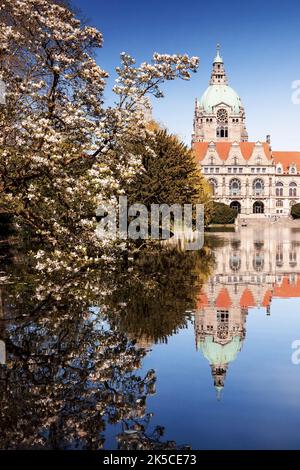 flower in a park in Hannover Stock Photo - Alamy