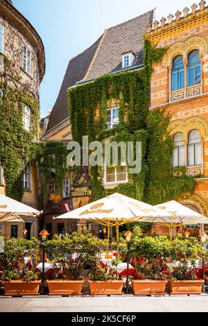 Summer at the Griechenbeisl, one of the oldest restaurants in Vienna ...