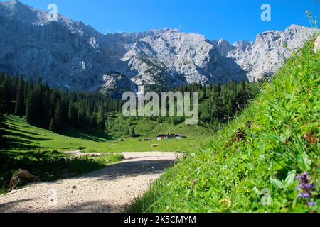 Wettersteinalm 1464m, summer weather, Germany, Bavaria, Werdenfels ...