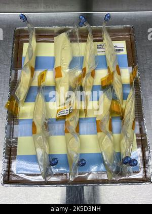 A preflight image of BioNutrients-2 Yogurt Bags on SABL Tray Mockup ...