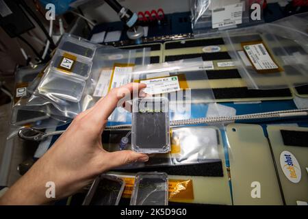 A view of the MVP-Plant-01 Petri plates with seedlings. Plant RNA ...