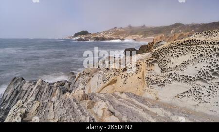 The Tafoni Rock and cavernous weathering at coastline Bean Hollow ...