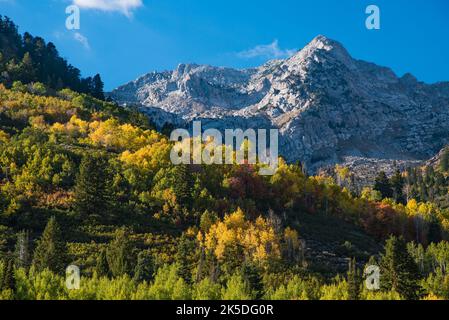 Granite mountains and autumn foliage. Wasatch Mountain range, American ...