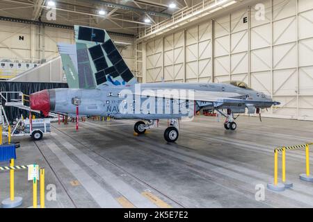 F/A-18E/F Hornet aircraft proposed design. Note increased wing area ...