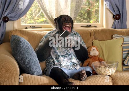 MONKEY, FUNKY MONKEY, 2004 Stock Photo - Alamy