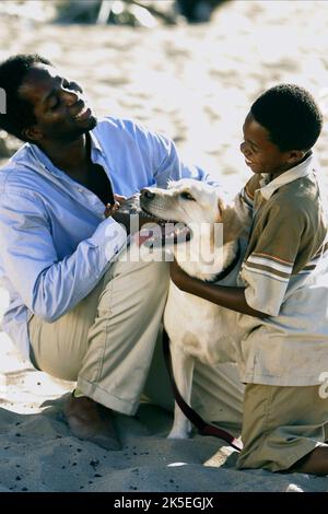 MALCOLM DAVID KELLEY, DOG, LOST : SEASON 1, 2004 Stock Photo - Alamy